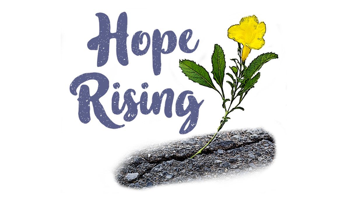 Home [hoperisingspeechtx.com]